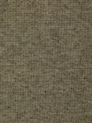 Woolrich Logo Intarsia-knit Fringe-detailing Scarf - Green