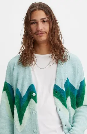 LEVI'S Coit Zigzag Stripe Cardigan