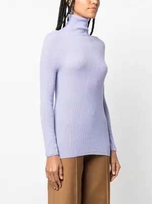Fabiana Filippi Roll-neck Long-sleeve Jumper - Purple