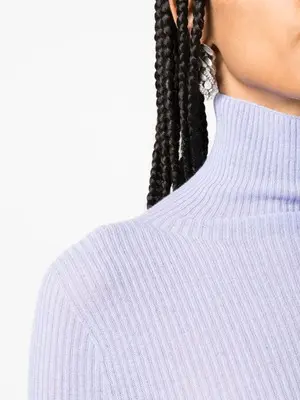 Fabiana Filippi Roll-neck Long-sleeve Jumper - Purple