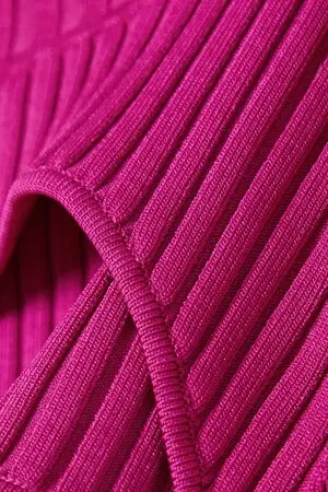 Simkhai Fleur Layered Ribbed-knit Turtleneck Top