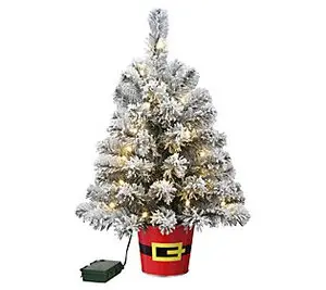 HAUTE DECOR 18' Flocked Night Night Tree Warm W Ite Led Lights - One-color