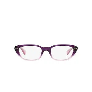 Ray-ban Eyeglasses Frame