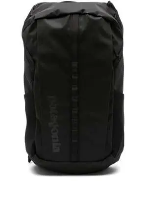 Patagonia Extra Large Backpacks