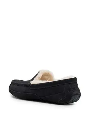 UGG Ascot Lace-up Sneakers