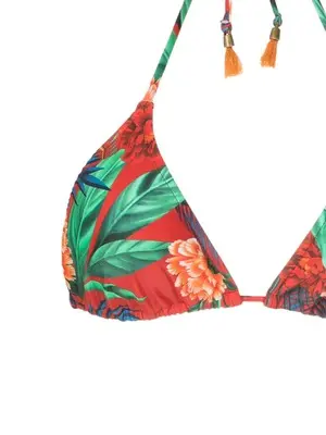LYGIA & NANNY Maya Botanical-print Triangle Bikini - Red