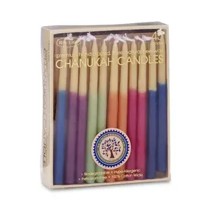 RITE LITE 45 Piece Chanukah Candles - Multicolor