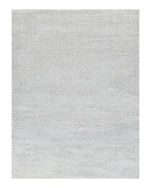 EXQUISITE RUGS Luxe Shag 5478 Area Rug, 4' X 6 - Beige