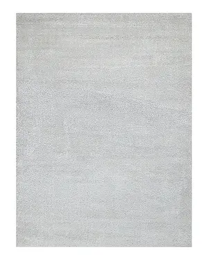 EXQUISITE RUGS Luxe Shag 5495 Area Rug, 4' X 6 - Taupe/brown