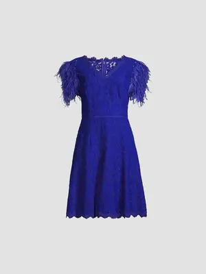 Shani Feathers Lace Minidress - Blue