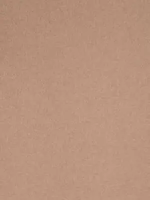 Acne Studios Fringed Wool Scarf - Brown