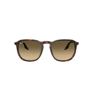 Ray-ban Sunglasses With Polarized Lenses - Havana Red Turtle