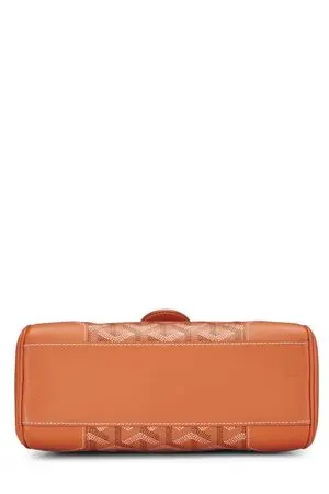 Goyard Goyardine Canvas Structured Saigon Mini