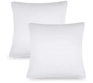 SUPERIOR 2 Pc Down Alternative Microfiber Pillo W Set