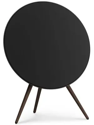 BANG & OLUFSEN Beosound A9 Speakers