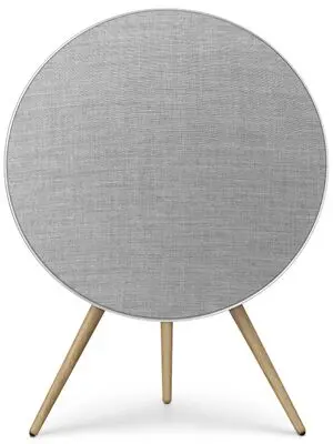 BANG & OLUFSEN Beosound A9 Speakers - Silver
