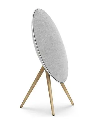 BANG & OLUFSEN Beosound A9 Speakers