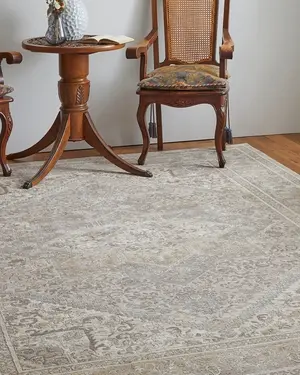 FEIZY Celene Cel39kxf Area Rug, 3'9 X 5'7 - Beige/gray