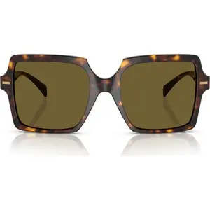 Versace 55mm Square Sunglasses - Havana