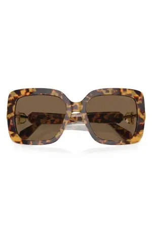 SWAROVSKI 55mm Square Sunglasses - Lite Havana