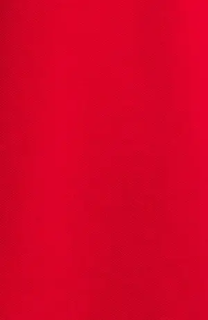 Lacoste Regular Fit Long Sleeve Piqué Polo - Rouge
