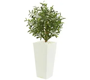NEARLY NATURAL 3.5' Olive Tree In White Planter Nearly Natu Ral - One-color