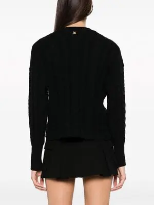 Pinko Armadillo Ribbed-knit Jumper