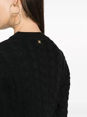 Pinko Armadillo Ribbed-knit Jumper