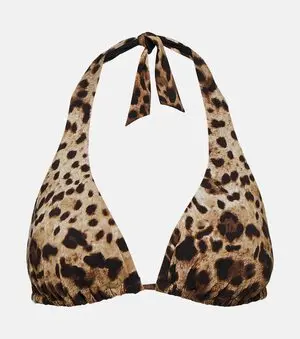Dolce & Gabbana Leopard-print Bikini Top - Multicoloured