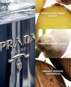 Prada Lhomme Eau De Toilette Fragrance Collection - None