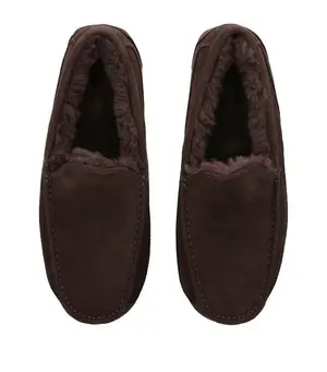 UGG Ascot Slippers - Brown
