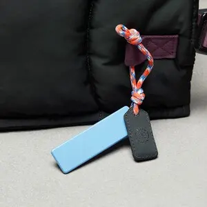 COACHTOPIA Loop Tote