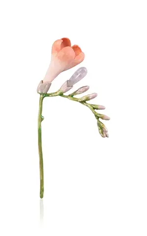 Luz Camino 18k Yellow Gold Pink Freesia Brooch