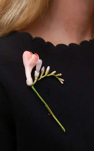 Luz Camino 18k Yellow Gold Pink Freesia Brooch