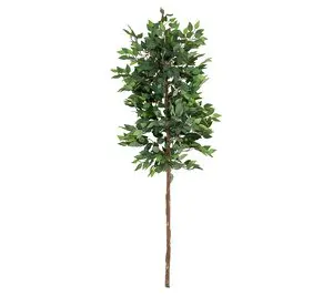 NEARLY NATURAL 6-ft Artificial Ficus Tree - One-color