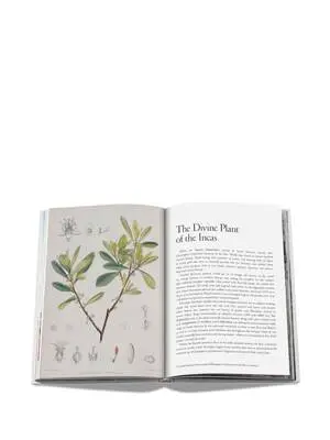 Assouline Cocaïn: History & Culture