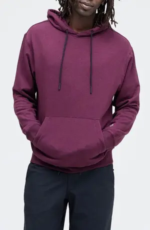 Stance Shelter Hoodie - Port Wine