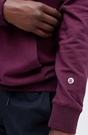Stance Shelter Hoodie - Port Wine
