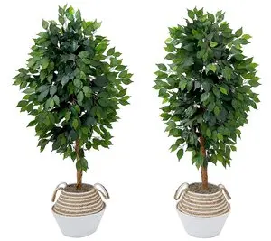 NEARLY NATURAL S/ 4.5' Ficus Tree W/ Double Unk Diy Kit - One-color