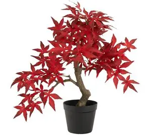 NEARLY NATURAL 20' Autumn Maple Bonsai - One-color