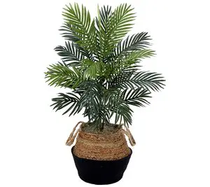 NEARLY NATURAL 3-ft Artificial Areca Palm Tree Y Kit - One-color