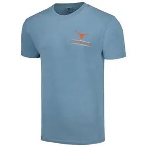 IMAGE ONE Texas Longhorns State Scenery Comfort Colors T-shirt