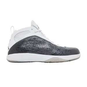 JORDAN 2011 - White