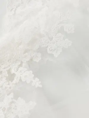 Carine Gilson Lace-appliqué Maxi Dress