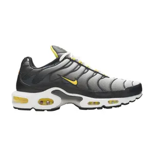Nike Air Max Plus Sneakers - Black