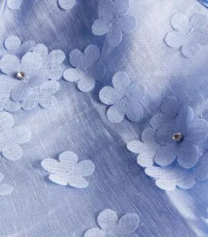 Zimmermann Maxi Floral Applique Dress