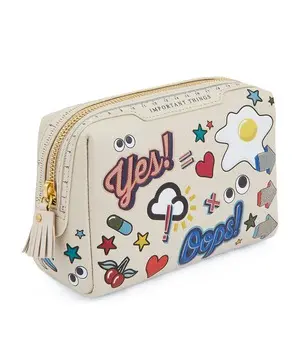 ANYA HINDMARCH Leather Important Things Pouch