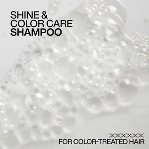 REDKEN Acidic Color Gloss Duo: Shampoo & Conditioner Set