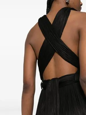 MARIA LUCIA HOHAN Kim Plissé Maxi Dress