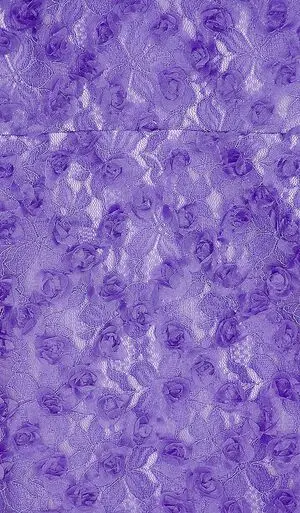 Amanda Uprichard Floral Lace Marshall Mini Dress